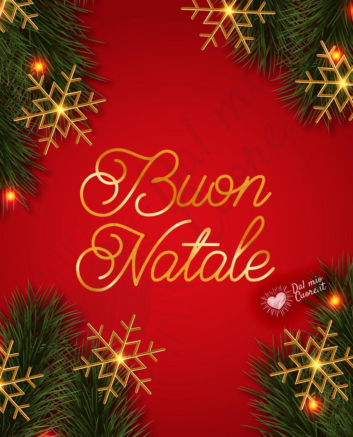 Natale tra riti e tradizioni | Avigliano News